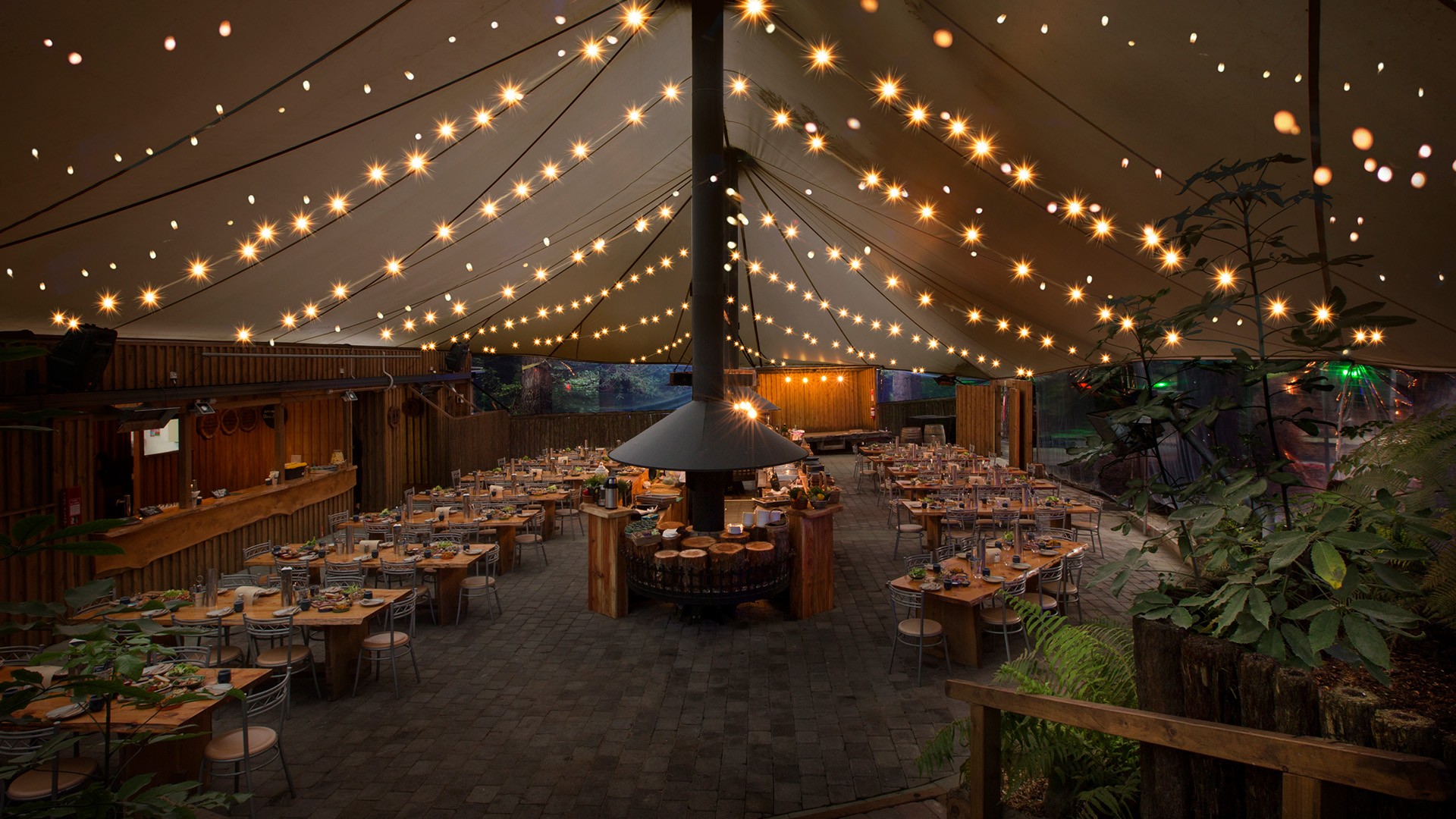 Hidden Forest Venue Rotorua | Unique Event Space at Skyline