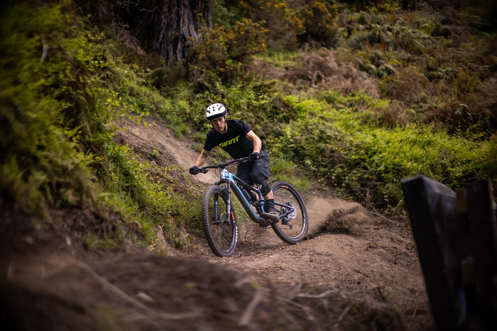 Mountain Bike Park Announcement | Skyline Rotorua