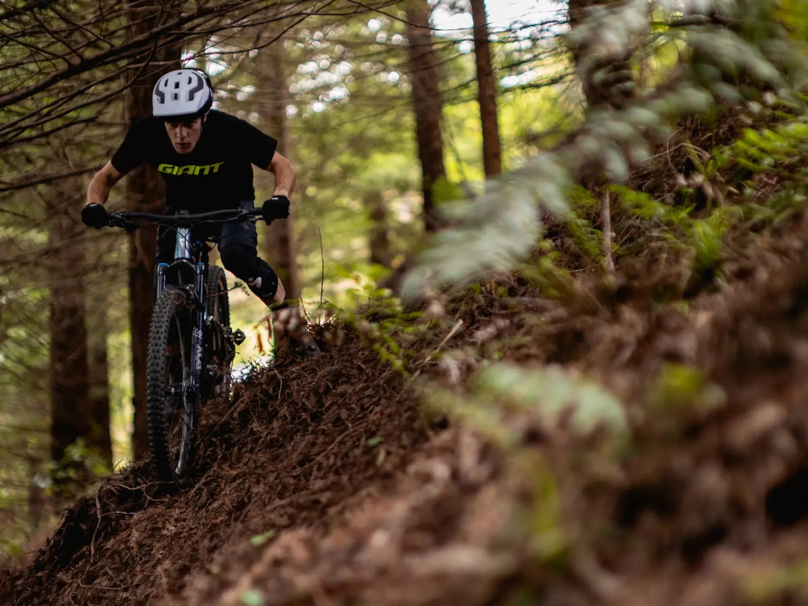 Skyline Rotorua Mountain Bike Park | 12km Downhill Trails