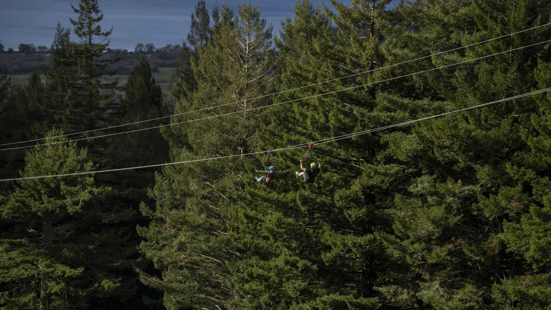 Zipline Rotorua | Skyline Forest & Canopy Adventure