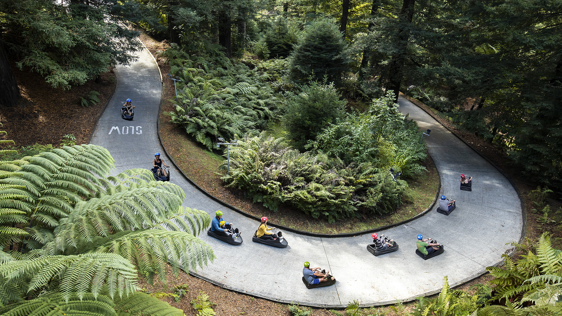 Rotorua Luge | Scenic Tracks & Family Fun