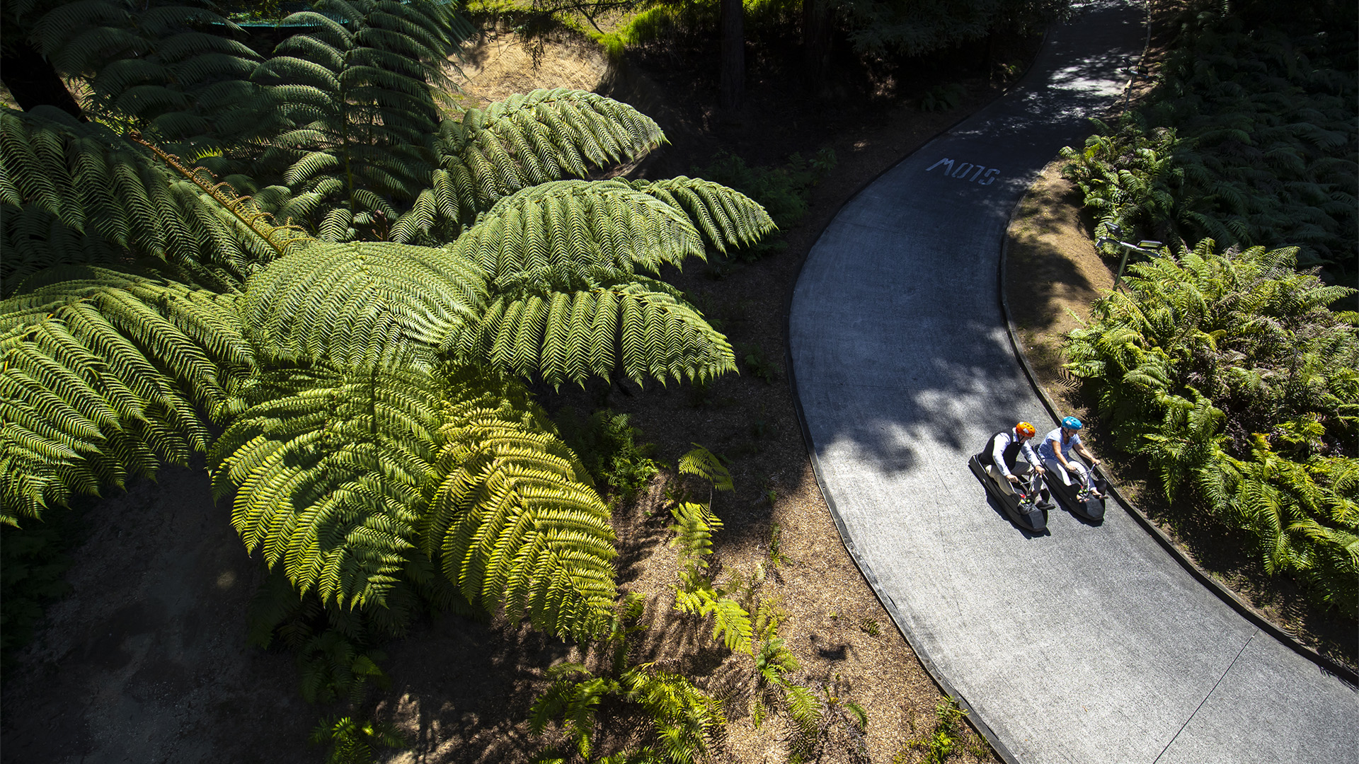 Rotorua Luge Prices | Skyline Packages, Deals & Tickets