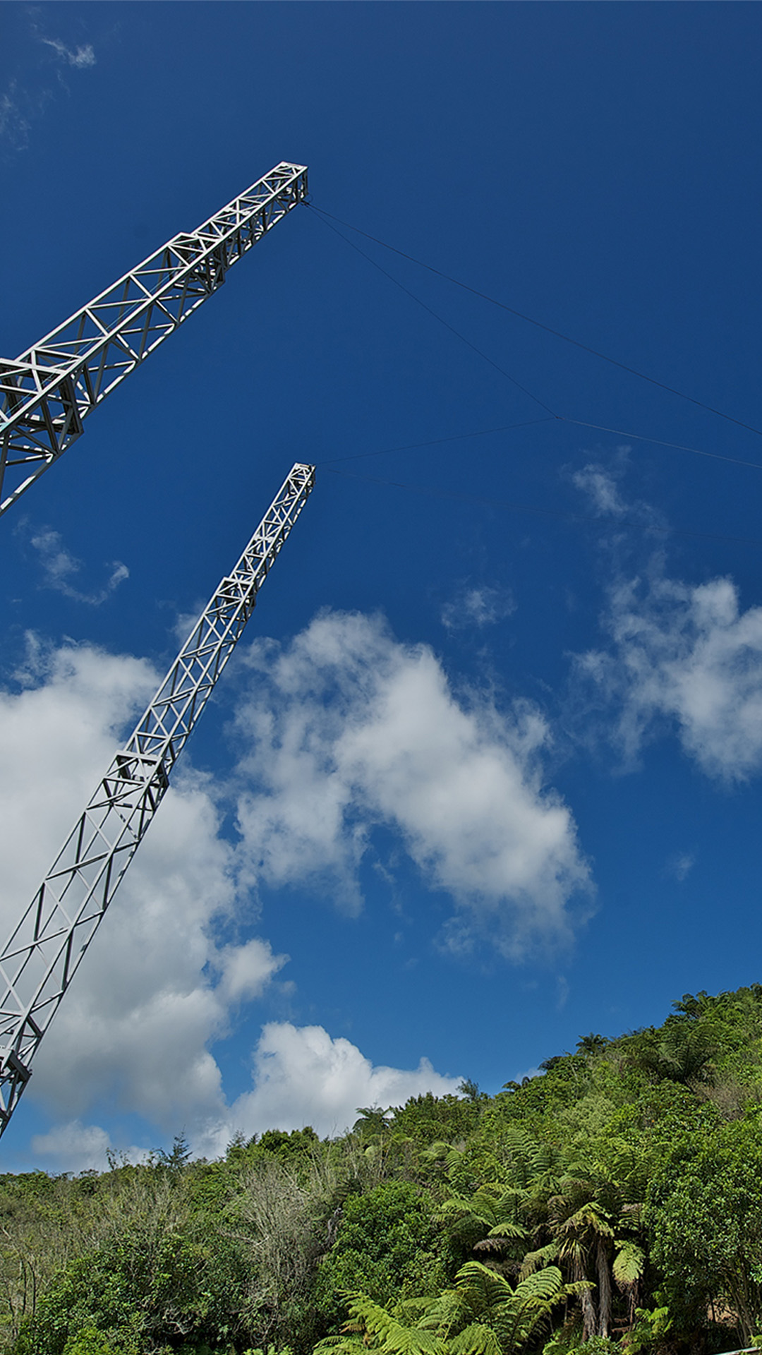 Skyswing Rotorua | Skyline’s Extreme Drop Ride in NZ